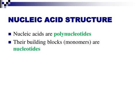 The Nucleic Acids Structure Ppt Download