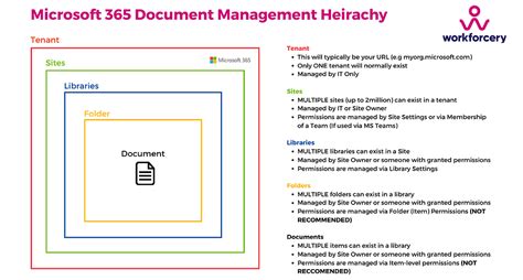 Microsoft 365 Document Management Hierarchy A Simple Guide