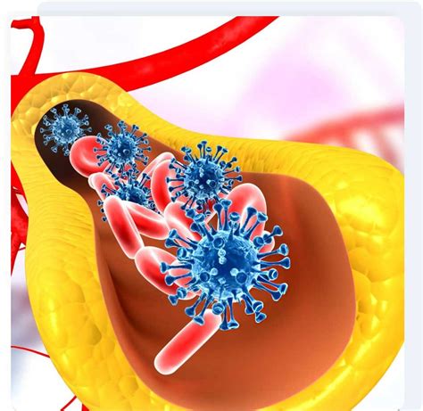 Sexually Transmitted Infections Stis Treatment Expert Telehealthdr