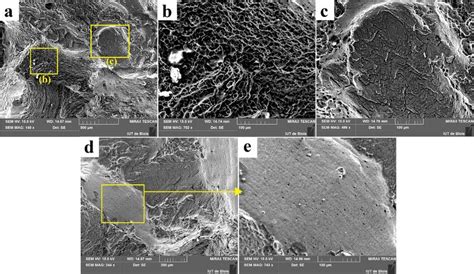 Sem Observations Of The Fracture Surface For A5 Sample A B And C