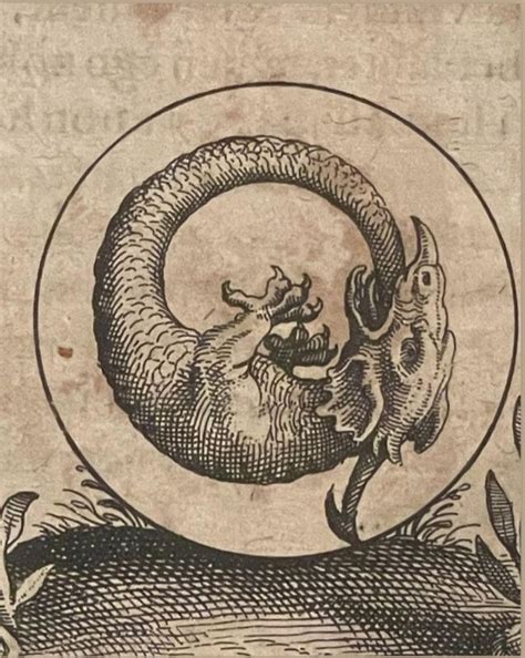 Pin By Beth Hokhmah On Alchemy Ouroboros Art Alchemy Art Medieval