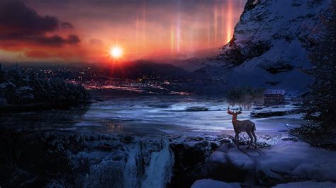 Deer Sunset Wallpapers Top Free Deer Sunset Backgrounds Wallpaperaccess