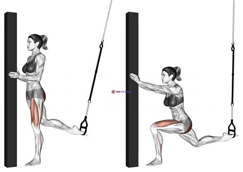 Suspension Single Leg Split Squat Self Assisted Home Gym Review