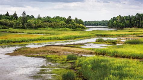 Explore Wetlands Wetlands Questing Guide Bkzpko
