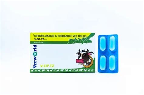 Ciprofloxacin Tinidazole Bolus V Cip Tz Bolus At ₹ 1300 Box Veterinary Bolus In Ahmedabad Id