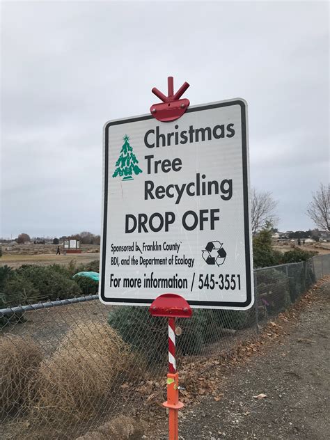 Where To Recycle Your Christmas Tree — Jobs Nursery And Pumpkin Patch Llc