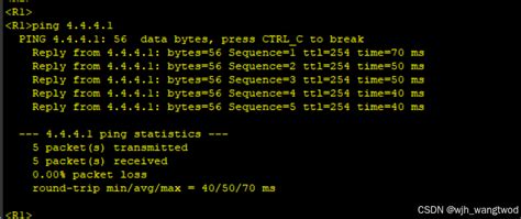 动态路由ospf协议实验 csdn博客