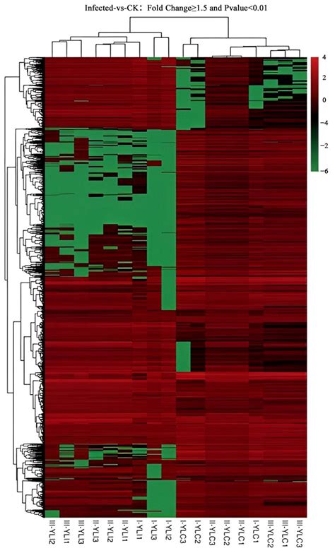 Ijms Free Full Text Kernel Transcriptome Profiles Of Susceptible Wheat Genotypes In Response