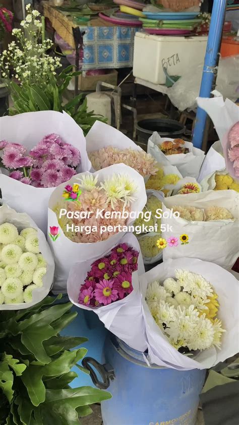 Bunga Murah Di Pasar Kembang Solo Tempat Tepat Untuk Beli Tiktok
