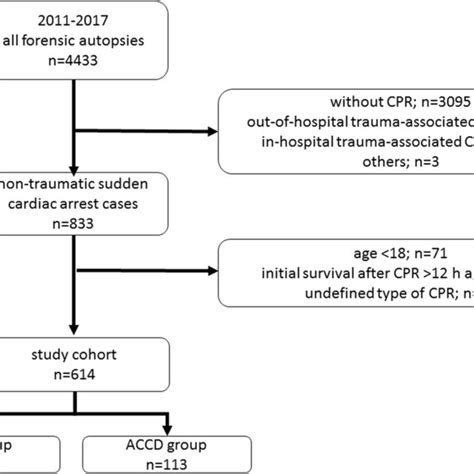 Representative Autopsy Pictures Of Chest Compression Related Injuries