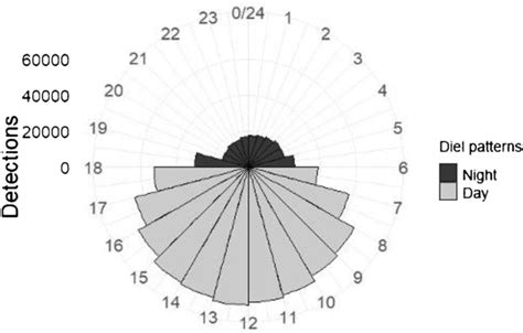 Radial Plot Showing The Number Of Detections With Each Concentric