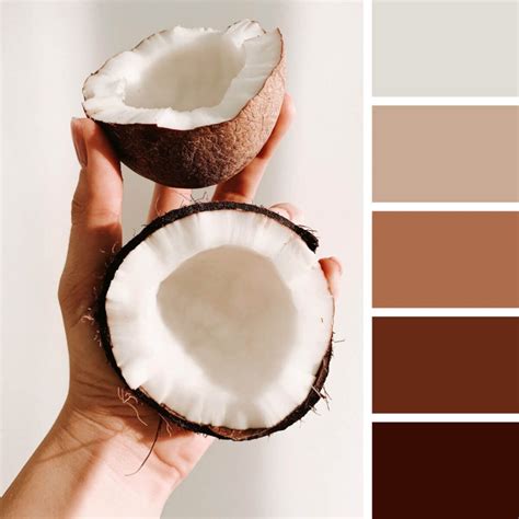 130 Eye Catching Color Combinations For Design Enthusiasts The Designest