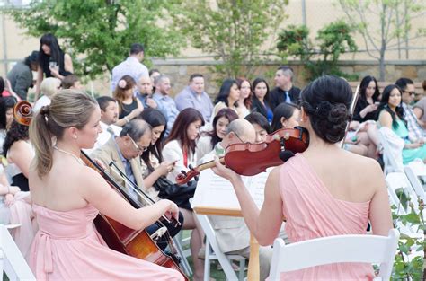 Hire Acoustic String Quartet Elegant String Quartet Book String Quartet La