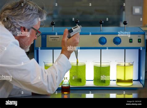 Flocculation Tests Precipitation Of Microalgae Algae Culture Algae