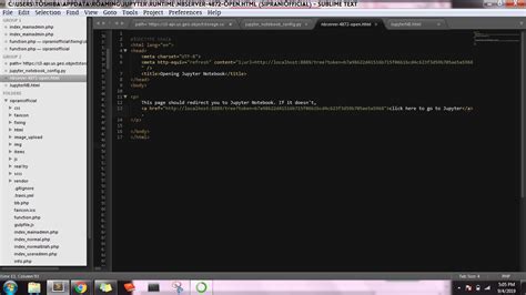 Running Jupyter Notebook Opens Visual Studio Code Not A Browser Issue Jupyter