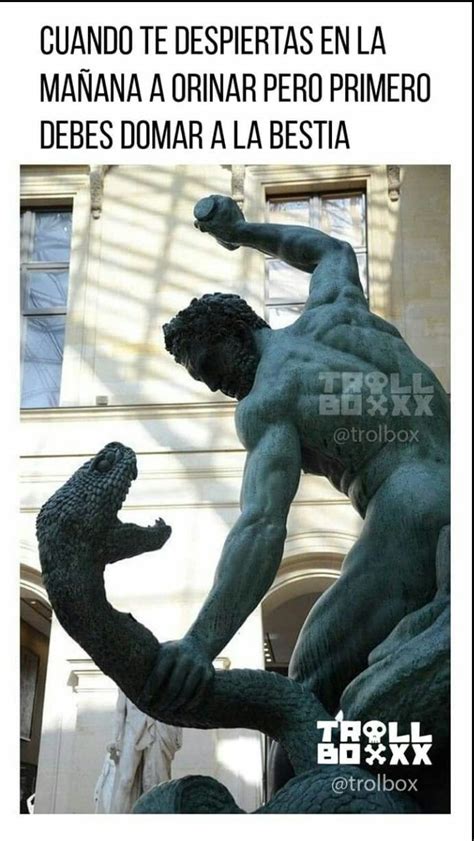 Primero Hay Que Domar A La Bestia Memes Divertidos Imágenes