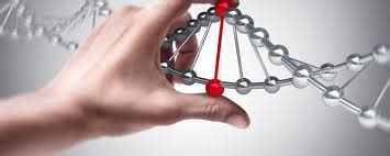 Touch DNA And Expert Testimony Essay Paper My Best Writer