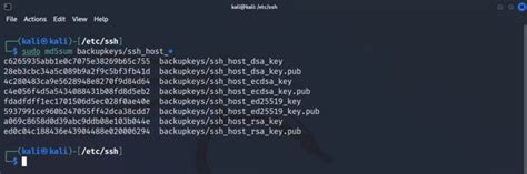 Easy Steps To Secure Your Kali Linux Operating System Tech Hyme