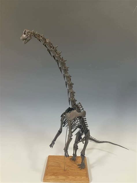 3d Print Brachiosaurus Skeleton • Made With Resin Printed・cults