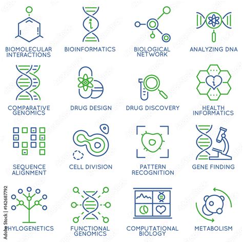 Vector Set Of 16 Linear Thin Icons Related To Bioinformatics And Bioengineering Mono Line