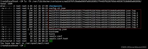 查看docker容器启动参数 docker 查看容器配置信息 csdn博客