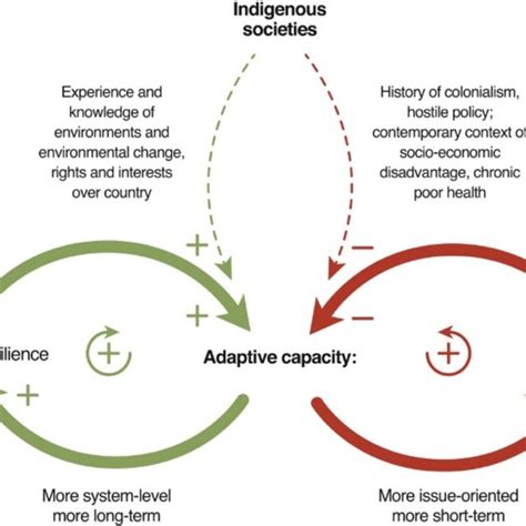 Linked Vulnerability Resilience Framework Showing How Both Download Scientific Diagram