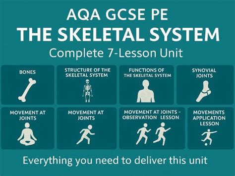 Aqa Gcse Pe Paper 1 The Skeletal System 7 Lesson Unit Teaching Resources