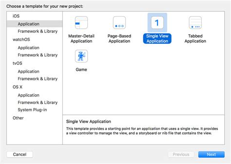 What Are Core Data Entities And Attributes