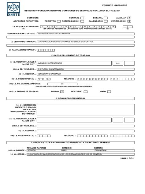Formato Único Csst 1er Recorrido 2023 Pdf