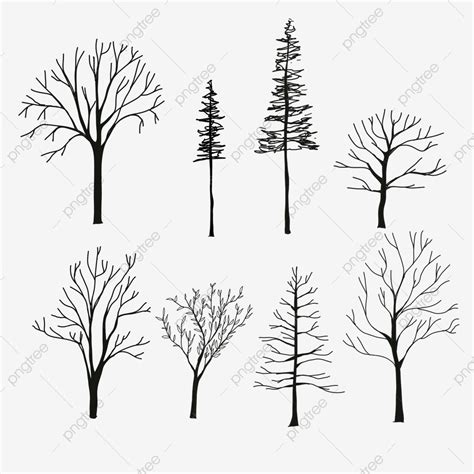 Tree Line Drawing Tree Drawing Simple Pine Tree Drawing Tree