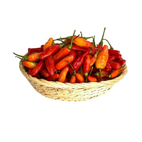Cabe Gendot Astro Farm 150gram Astro