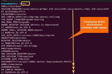The Env Command In Linux Practical Examples