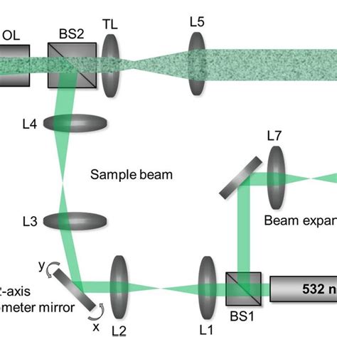 Schematic Layout Of The Experimental Setup Interference Microscope