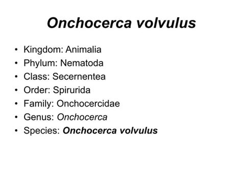 Onchocerciasis Onchocerca Volvulus Pptx