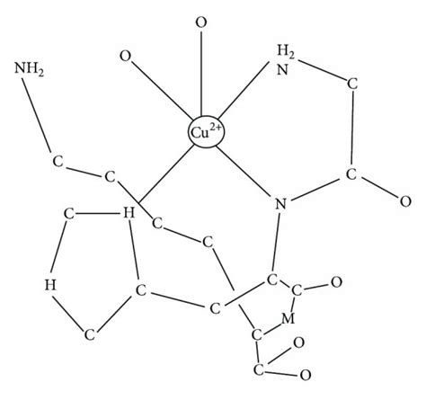 Tripeptide Molecular Structure