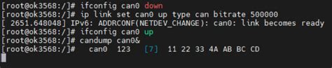 mcp2518fd外部can fd控制器的调试方法 csdn博客