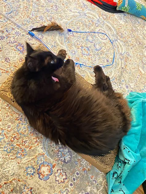 Myclassmatefromgrade3