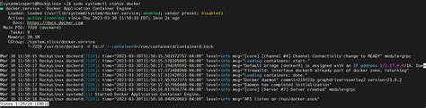 how to install docker on rocky linux and almalinux sysadminxpert