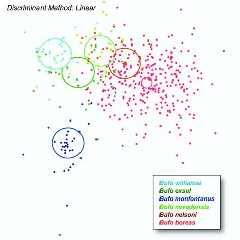 Discriminant Function Analysis Dfa Cross Validated Dfa Using 14 Download Scientific Diagram