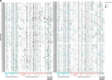 Figures And Data In Single Cell Transcriptome Profiles Of Drosophila Fruitless Expressing