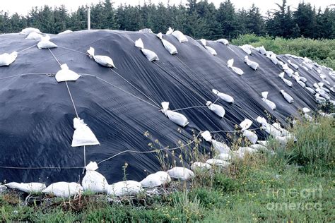Contaminated Soil Photograph By Inga Spence Fine Art America