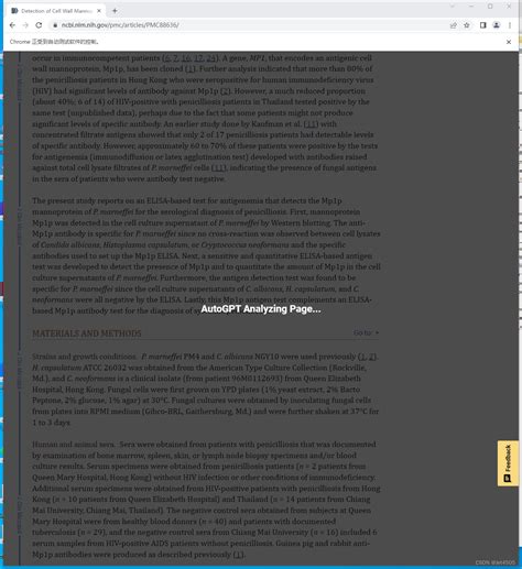 玩转chatgpt：auto gpt项目部署与测评 autochatgpt csdn博客