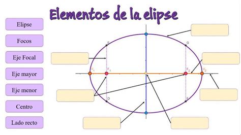 Elementos De La Free Interactive Worksheets 635917