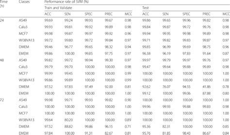 performance rate of support vector machine classifier download table