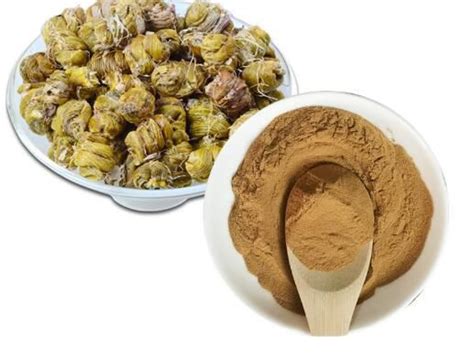 Dendrobium Extract Manufacturer Undersun