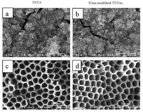 Nanomaterials Free Full Text N And C Modified Tio2 Nanotube Arrays Enhanced
