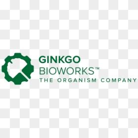 Ginkgo Bioworks Logo Hd Png Download Vhv