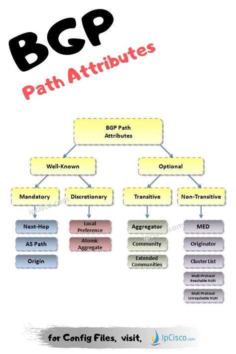 Bgp Path Attributes Diagram For Cisco Certification