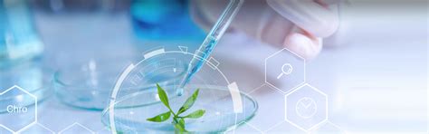 进口注册 瑞霖医药