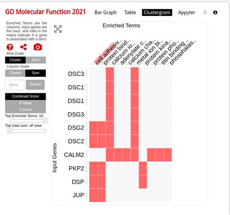 Clustergram Of Gene Set Enrichment Go Molecular Function Source